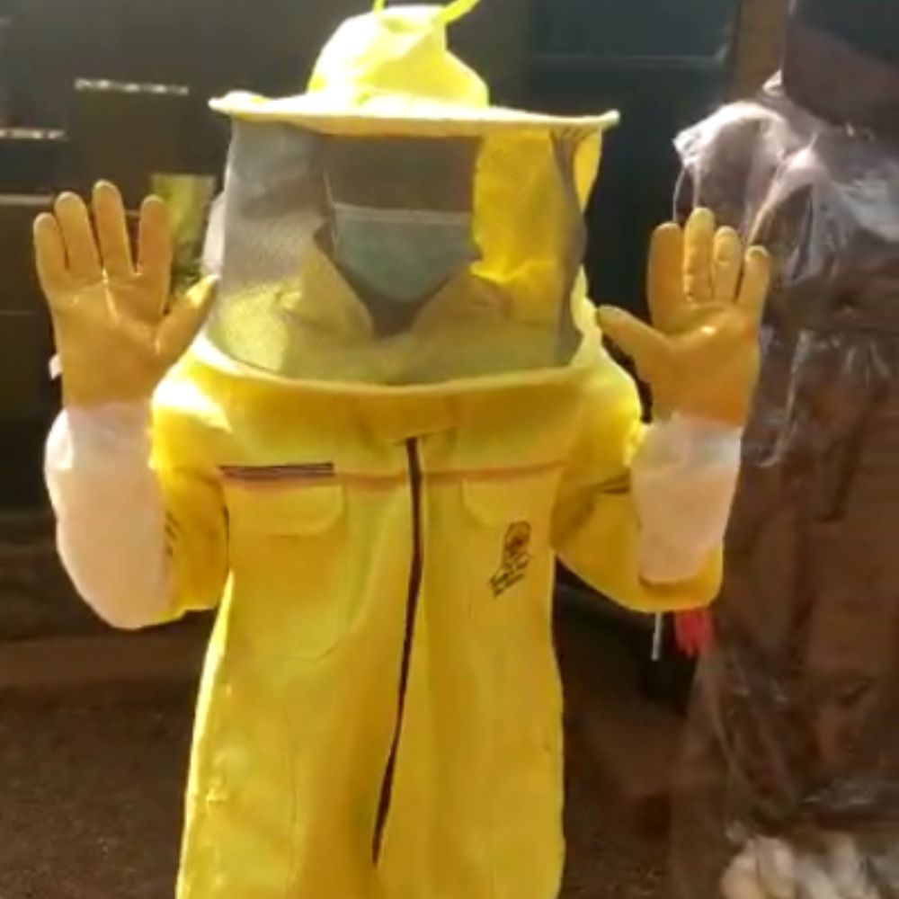 Bee Suit - Round Veil Cotton - Honeypot