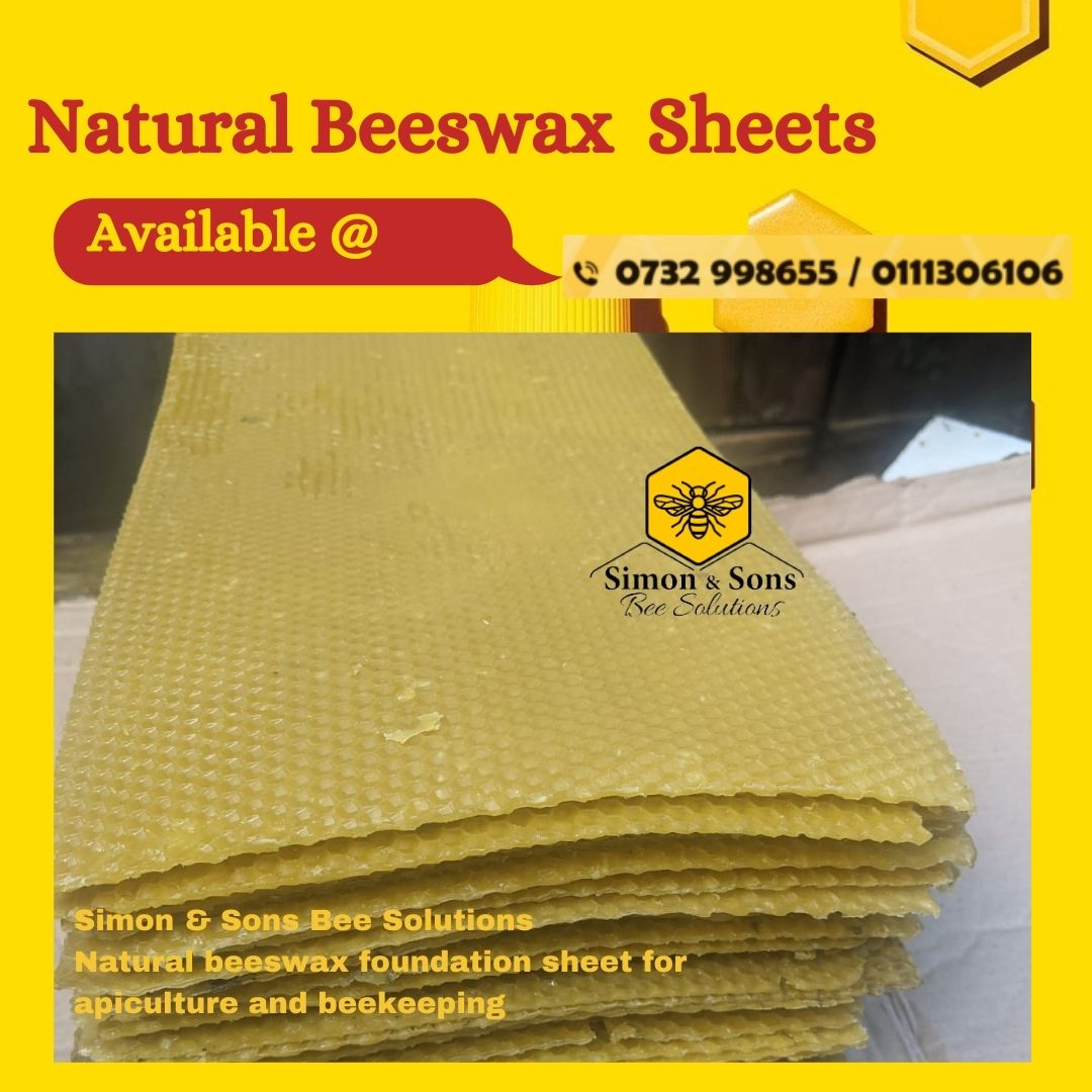 Natural Beeswax Foundation Sheet For Apiculture And Beekeeping - Honeypot