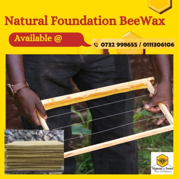 A Hive Wax Foundation Gives Honeybees A Head-start. The Foundation Wax ...